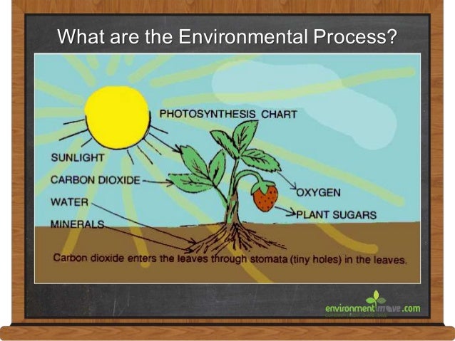 Introduction Of Environment