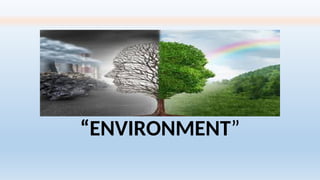environment, its components,and impact in CHN | PDF