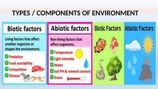environment, its components,and impact in CHN | PDF
