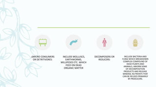Environment and its introduction | PPTX