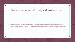 Environment and its introduction | PPTX