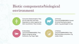 Environment and its introduction | PPTX