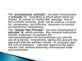 Rio Declaration | PPTX