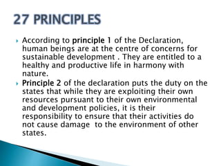 Rio Declaration On Environment And Development United Nations
