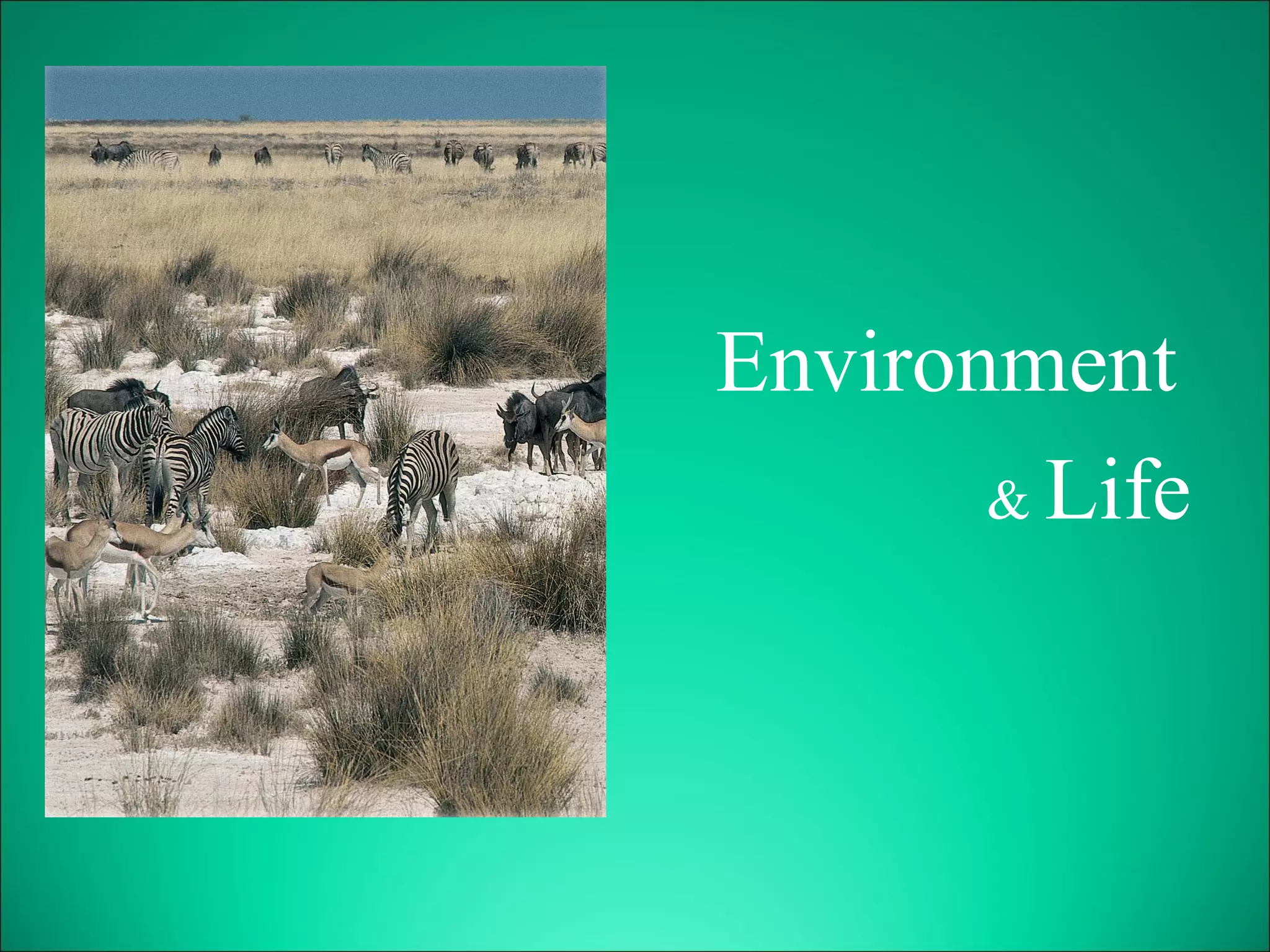 Environment & life | PPT
