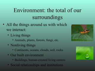 Environment & life | PPT