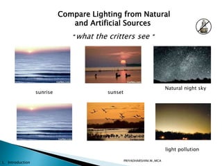 Environment light pollution | PPTX