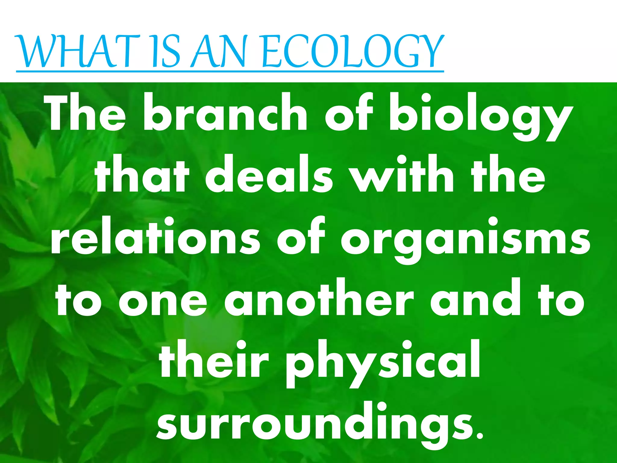 Ecosystem and Ecology | PPTX