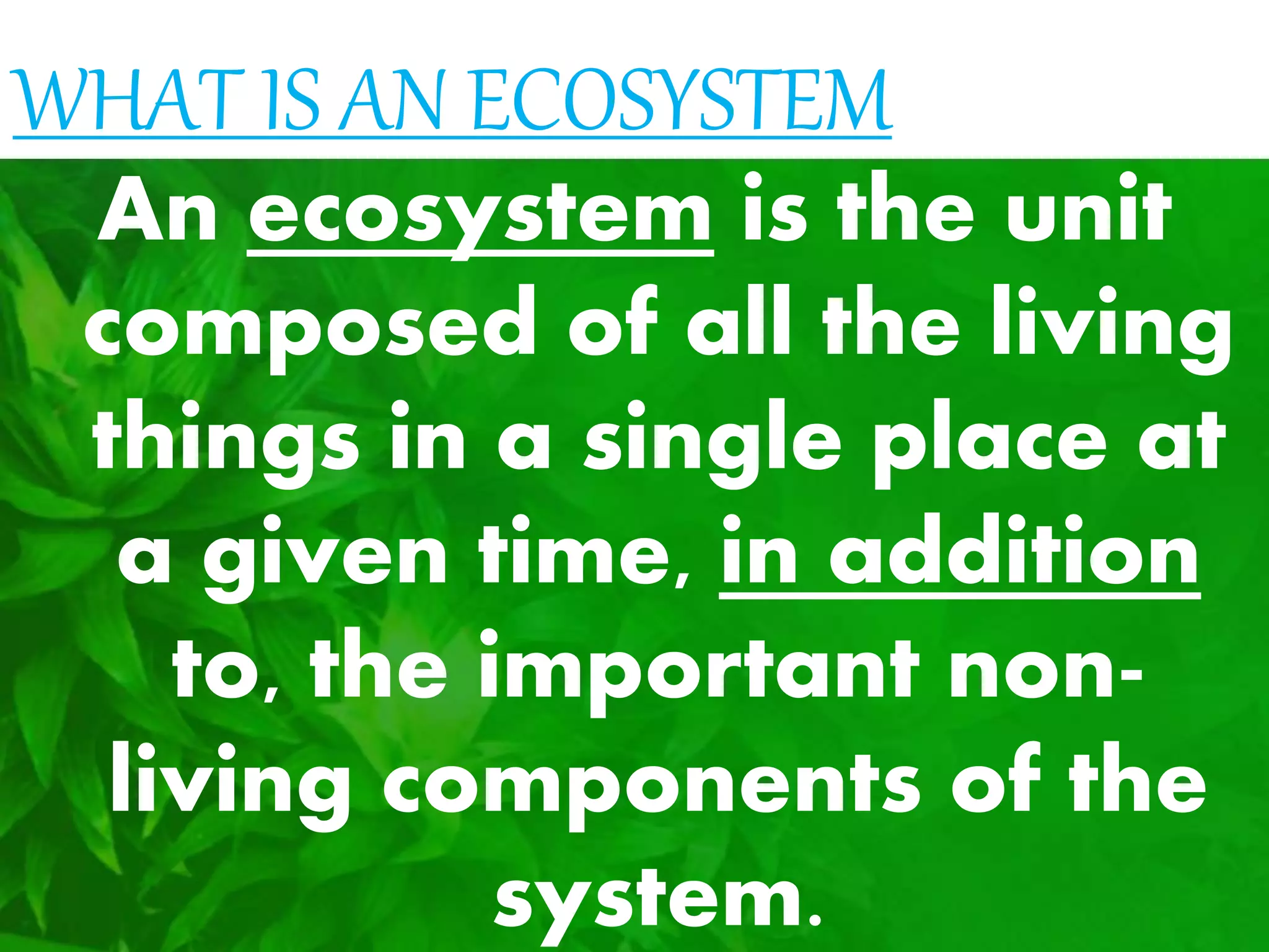 Ecosystem and Ecology | PPTX