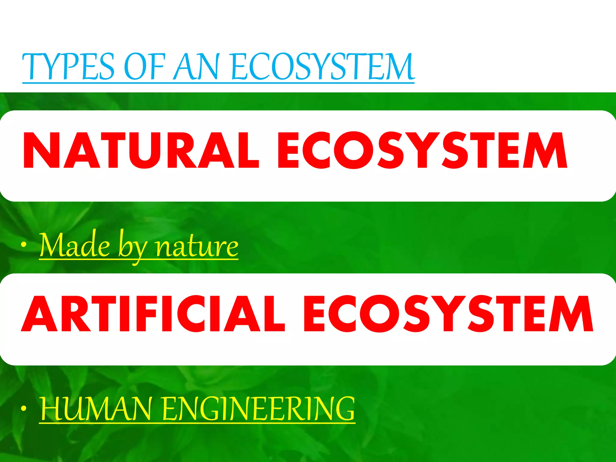 Ecosystem and Ecology | PPTX