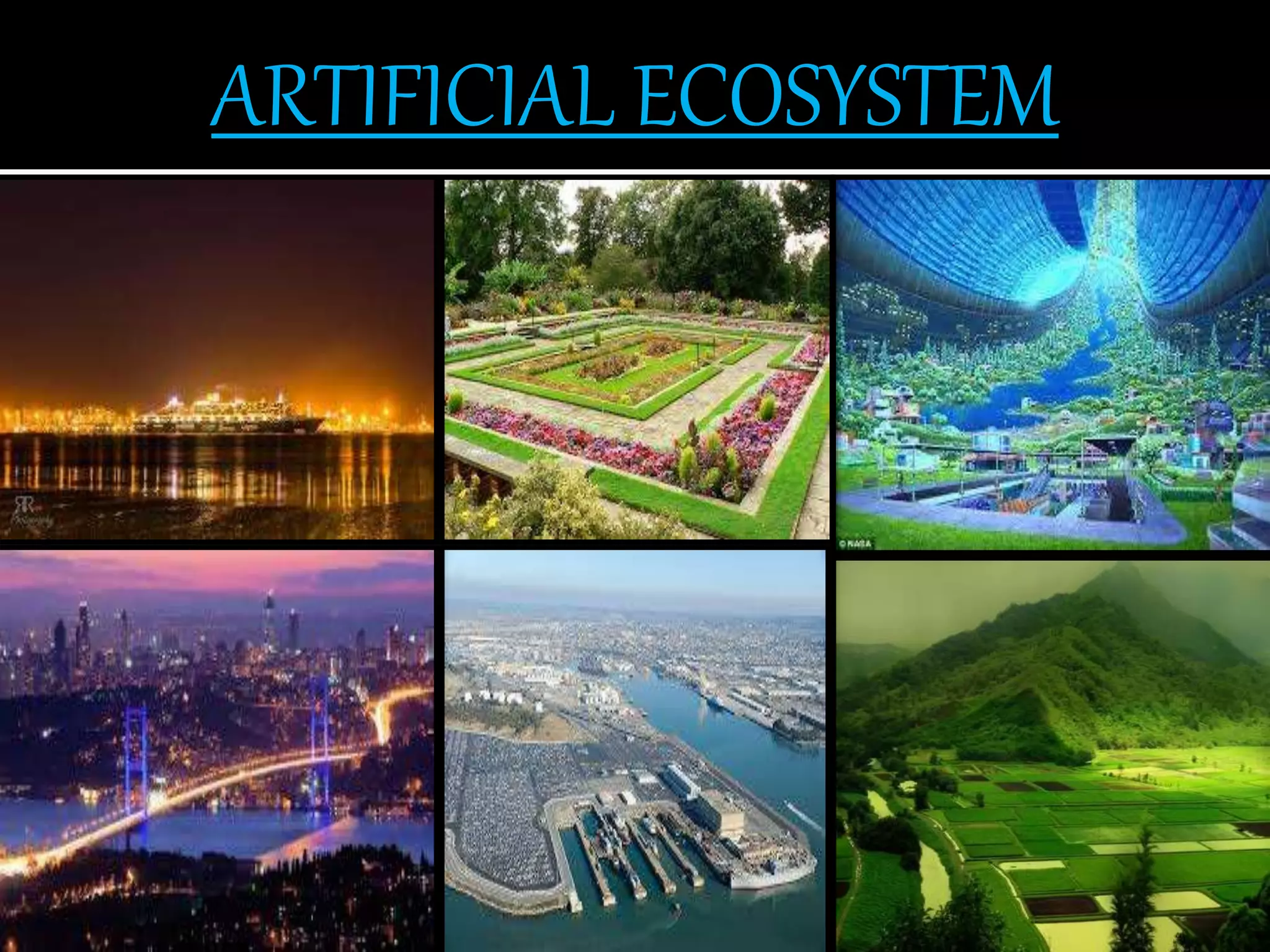 Ecosystem and Ecology | PPT