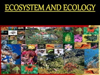Ecosystem and Ecology | PPT