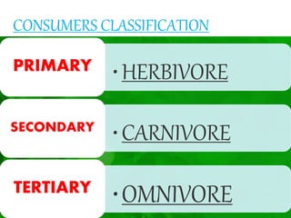 Ecosystem and Ecology | PPT