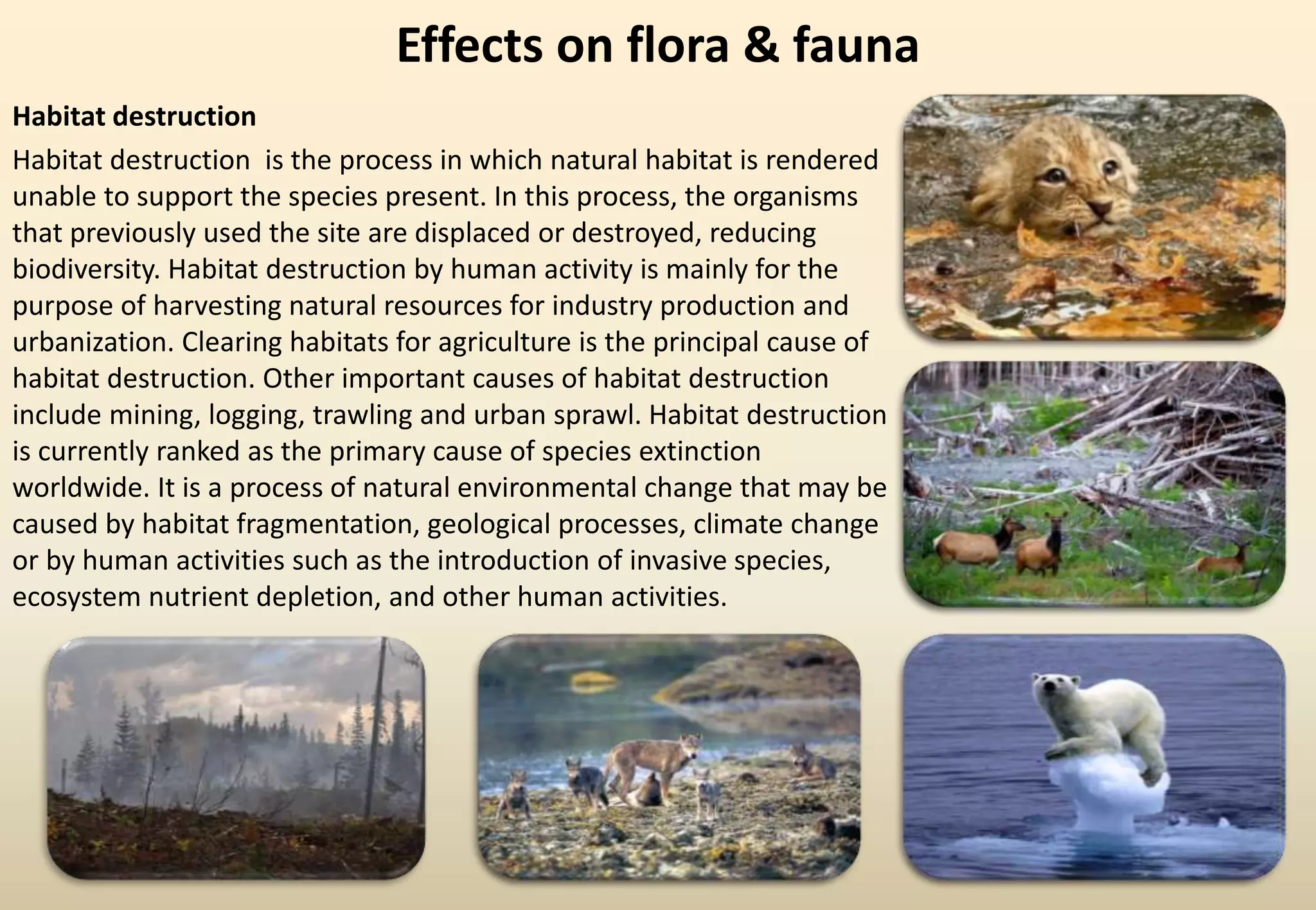 Environment management - exploitation & modification of natural ...