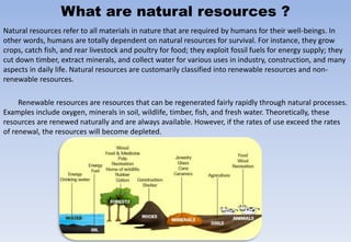 Examples Of Resources