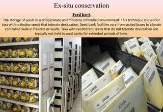 Environment management - sustainable developement | PPTX
