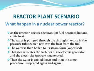 Chernobyl nuclear accident | PPT