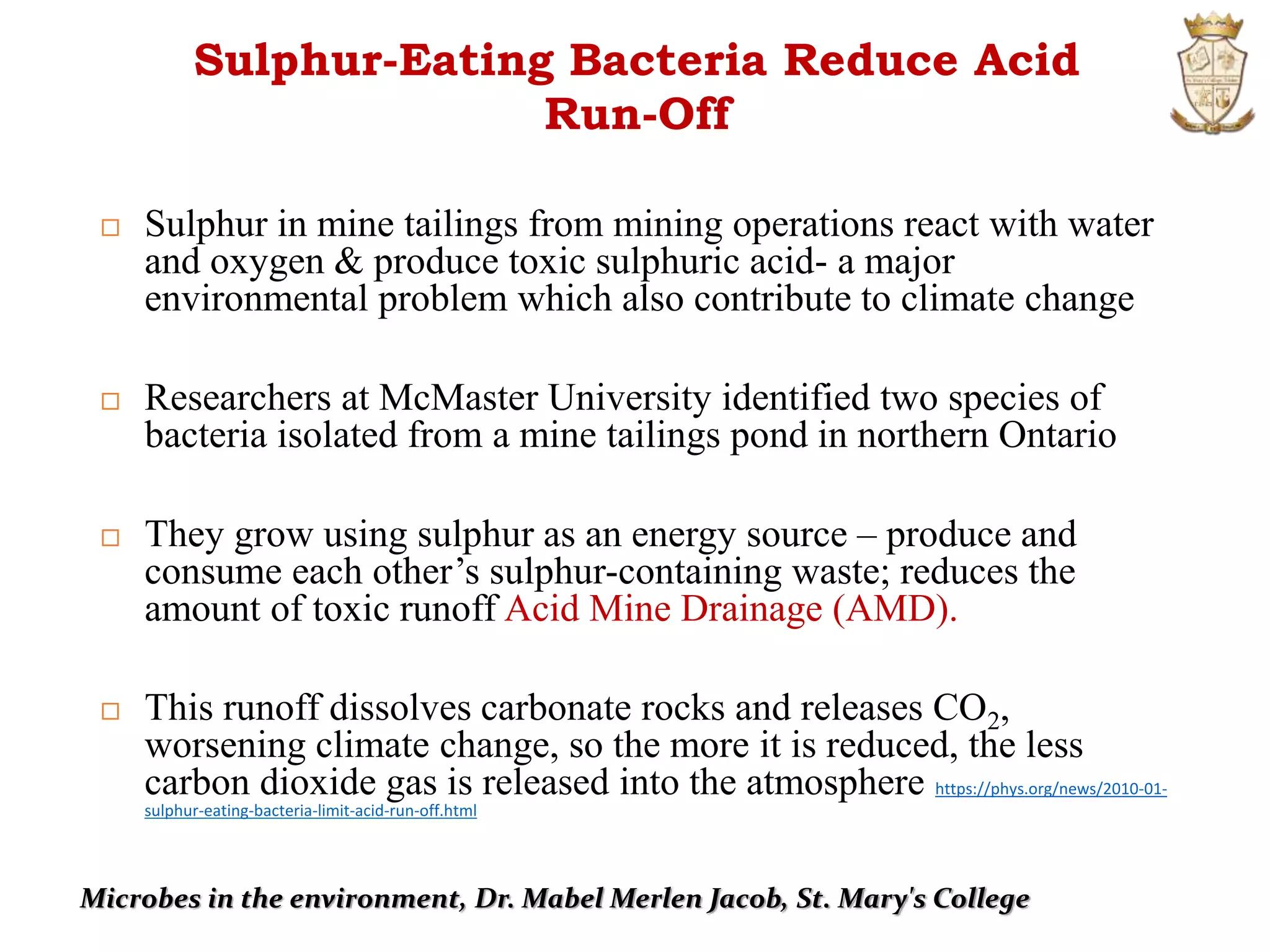 Microbiology:Microbes In The Environment | PPTX