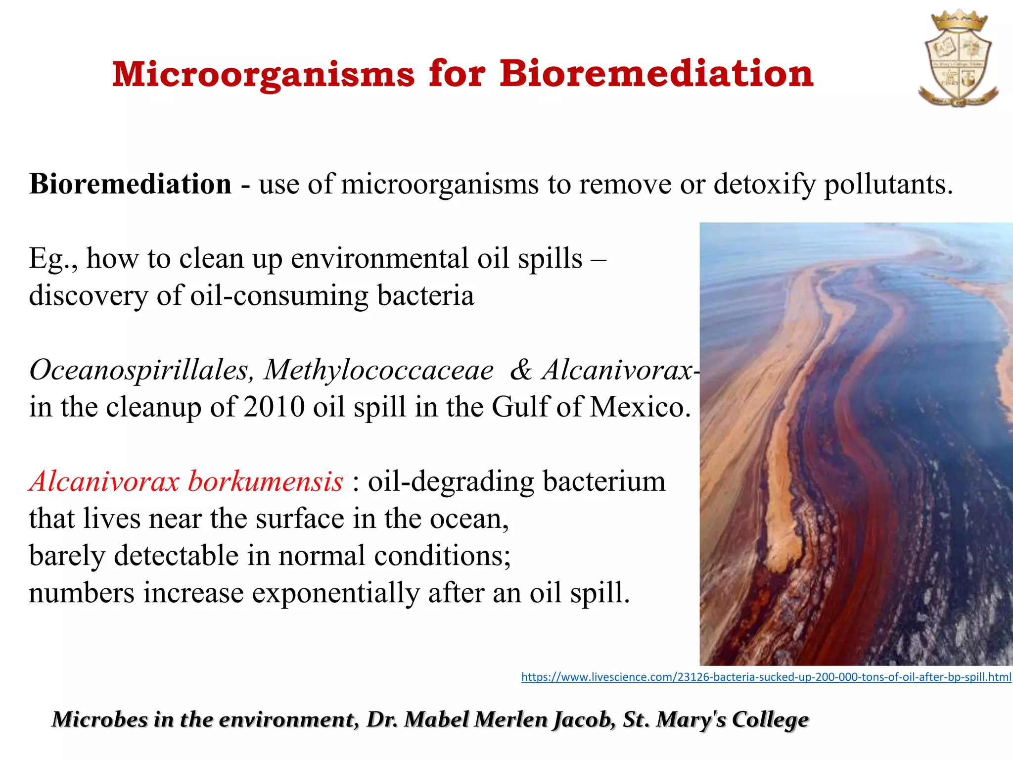 Microbiology:Microbes In The Environment | PPTX