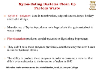 Microbiology:Microbes In The Environment | PPTX