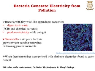 Microbiology:Microbes In The Environment | PPTX