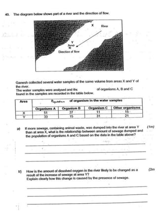 Environment Challenging Questions | PDF | Environment | Science