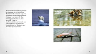 Environment of bangladesh | PPTX