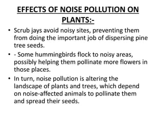 Effects Of Noise Pollution On Plants