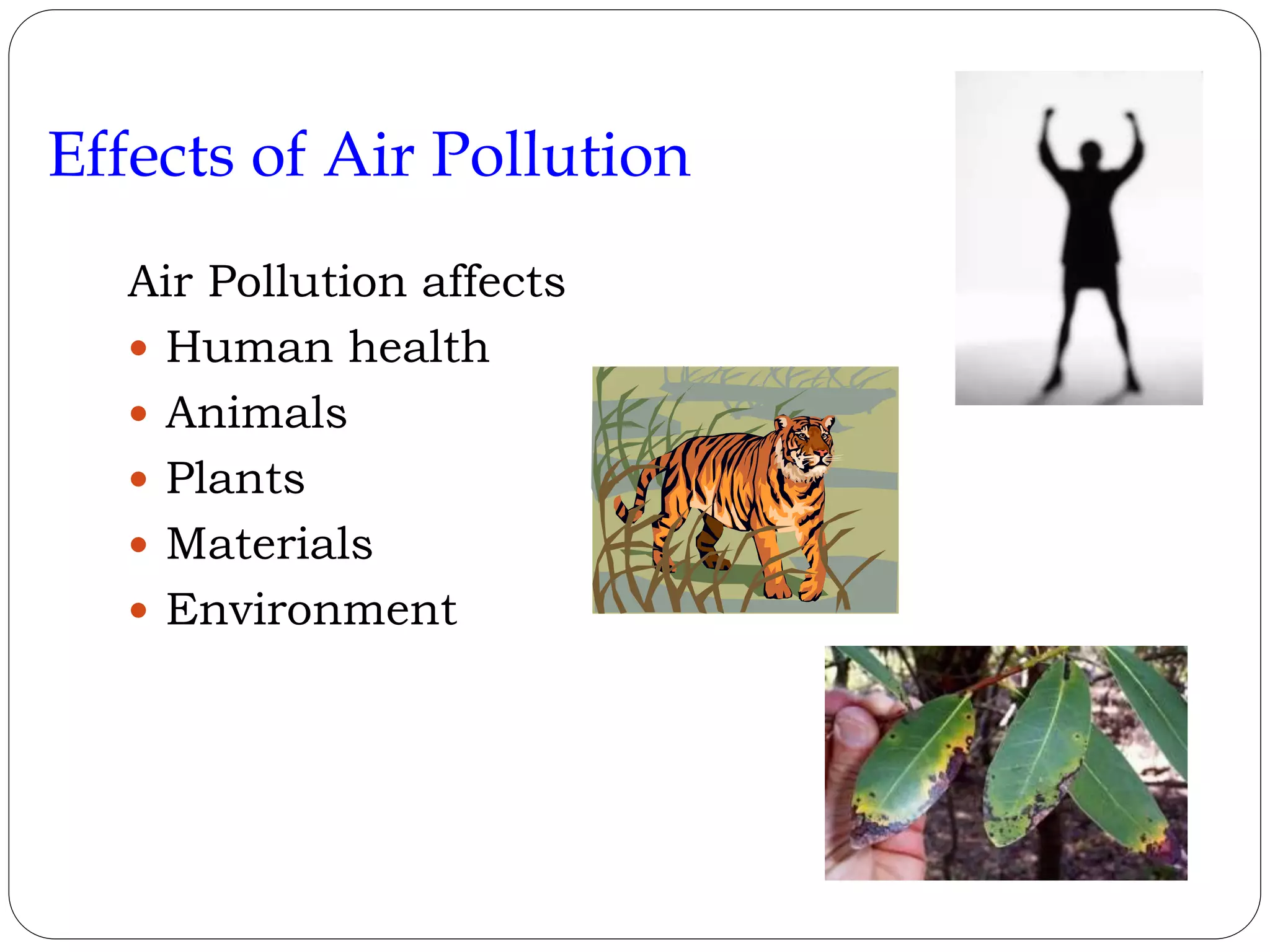Environment Pollution (1).ppt