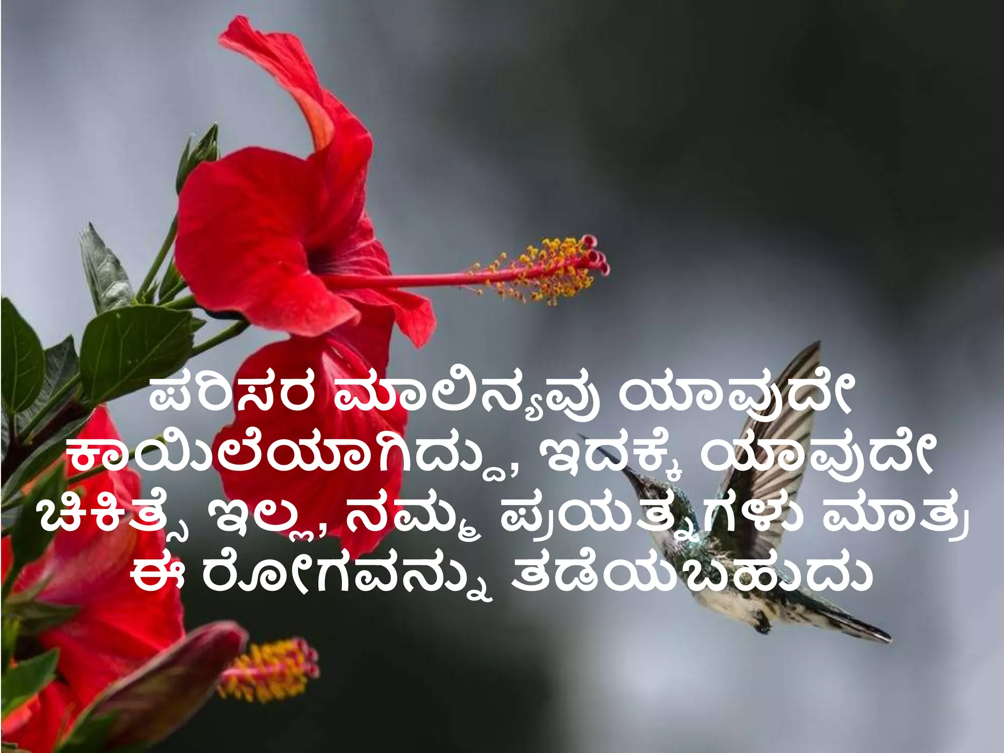 Environment pollution slogan in Kannada | PDF