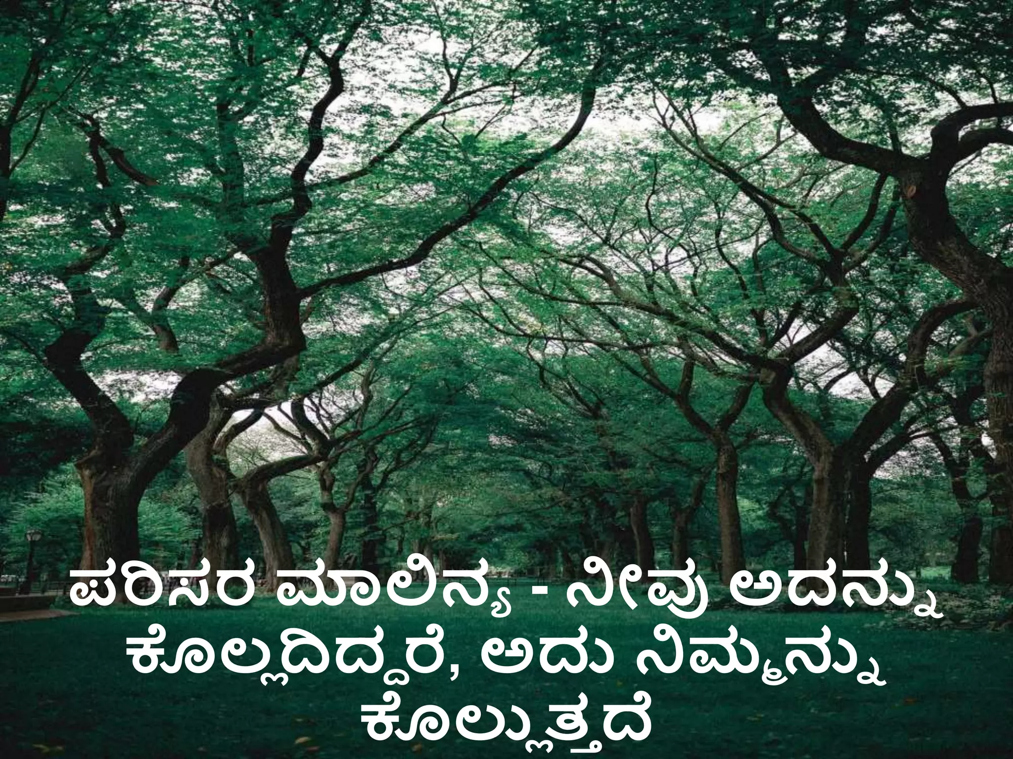 Environment pollution slogan in Kannada | PDF