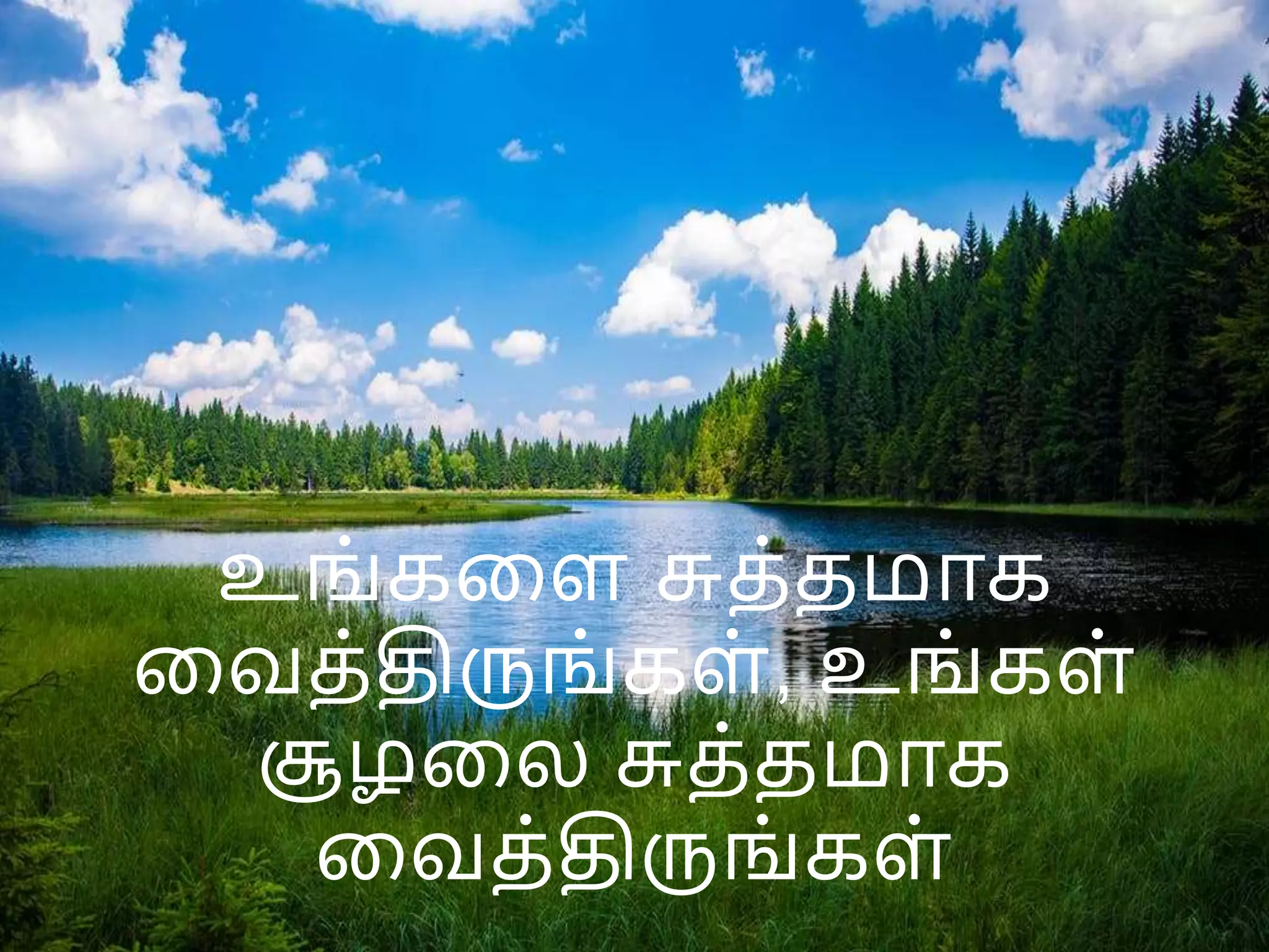 Environment pollution in Tamil | PDF