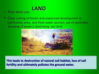 Environment p pt | PPT