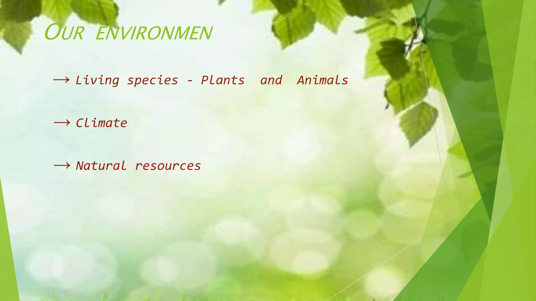 Environment ppt | PPTX