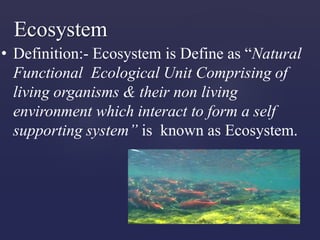 Introduction of Environment | PPTX
