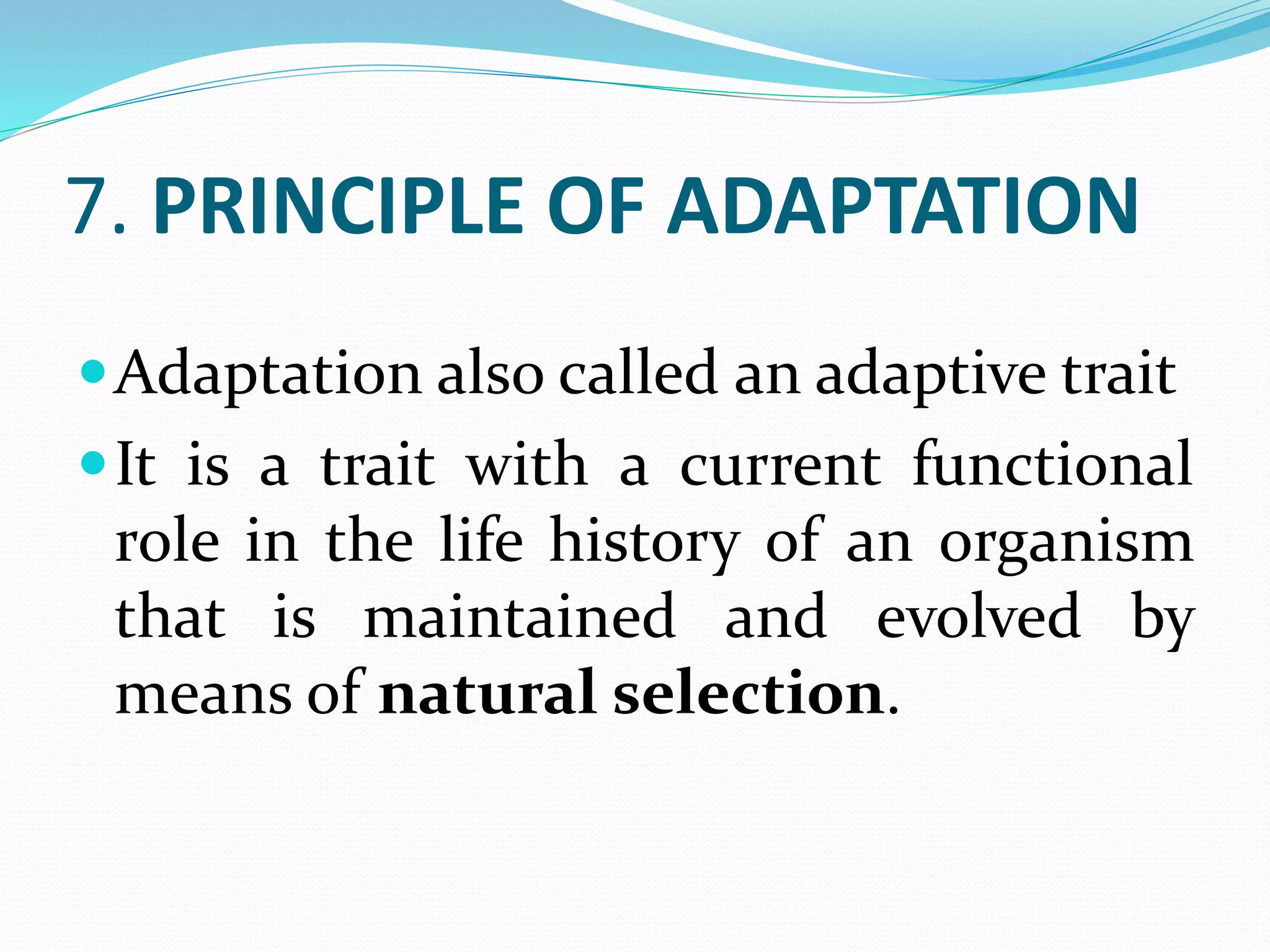 principles of environment | PPTX
