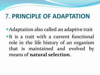 principles of environment | PPTX