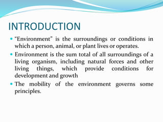 principles of environment | PPTX