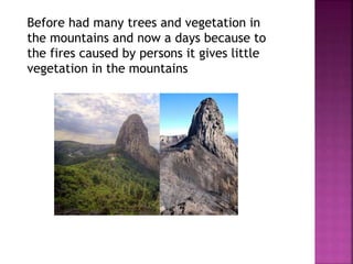 Environment project | PPTX