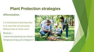 Environment protection.about the protection of water and soil | PPT