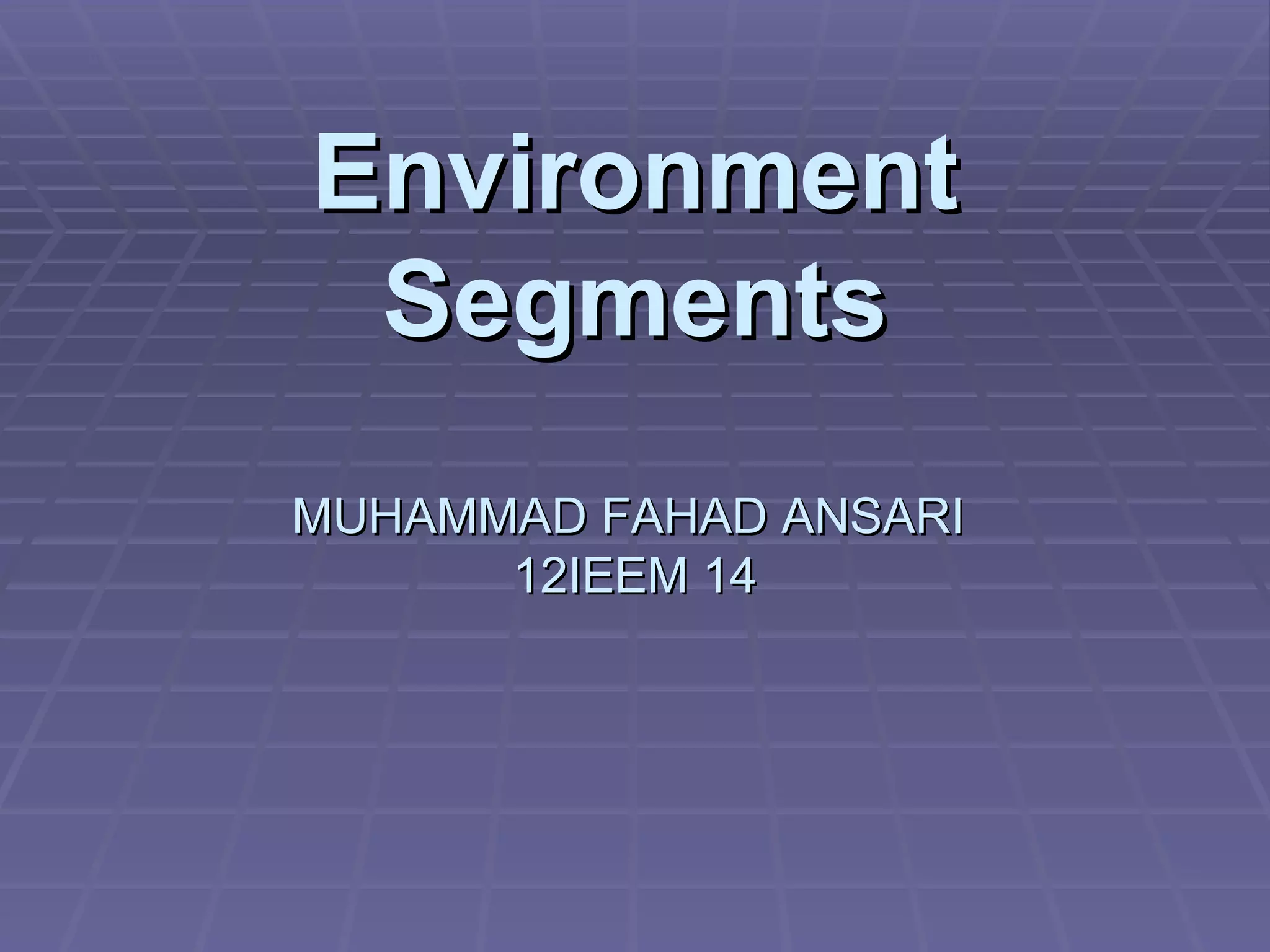 Environment segments by MUHAMMAD FAHAD ANSARI 12IEEM 14 | PPT