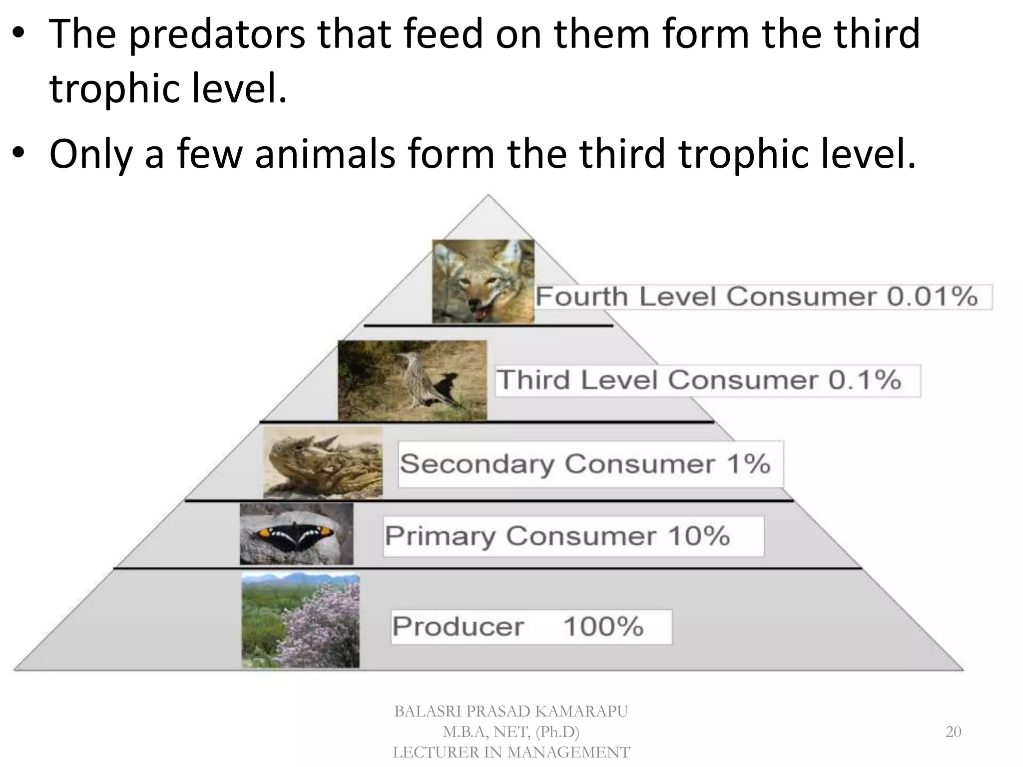 Environment studies Unit-I for B.Com, BBA, BA, B,Sc - I year, B.Tech