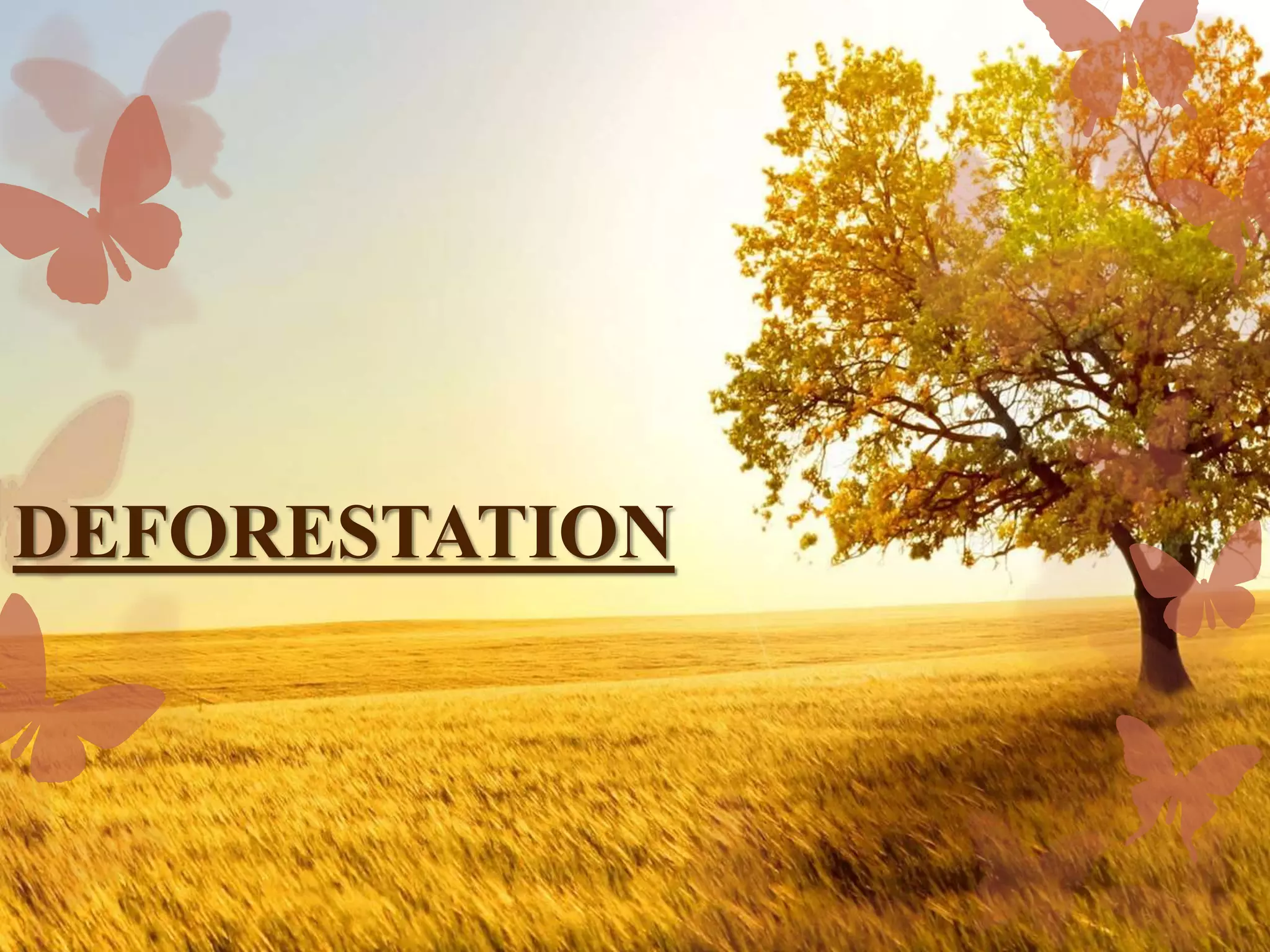 PPT ON DEFORESTATION BY Mandar Gadkari. | PPTX