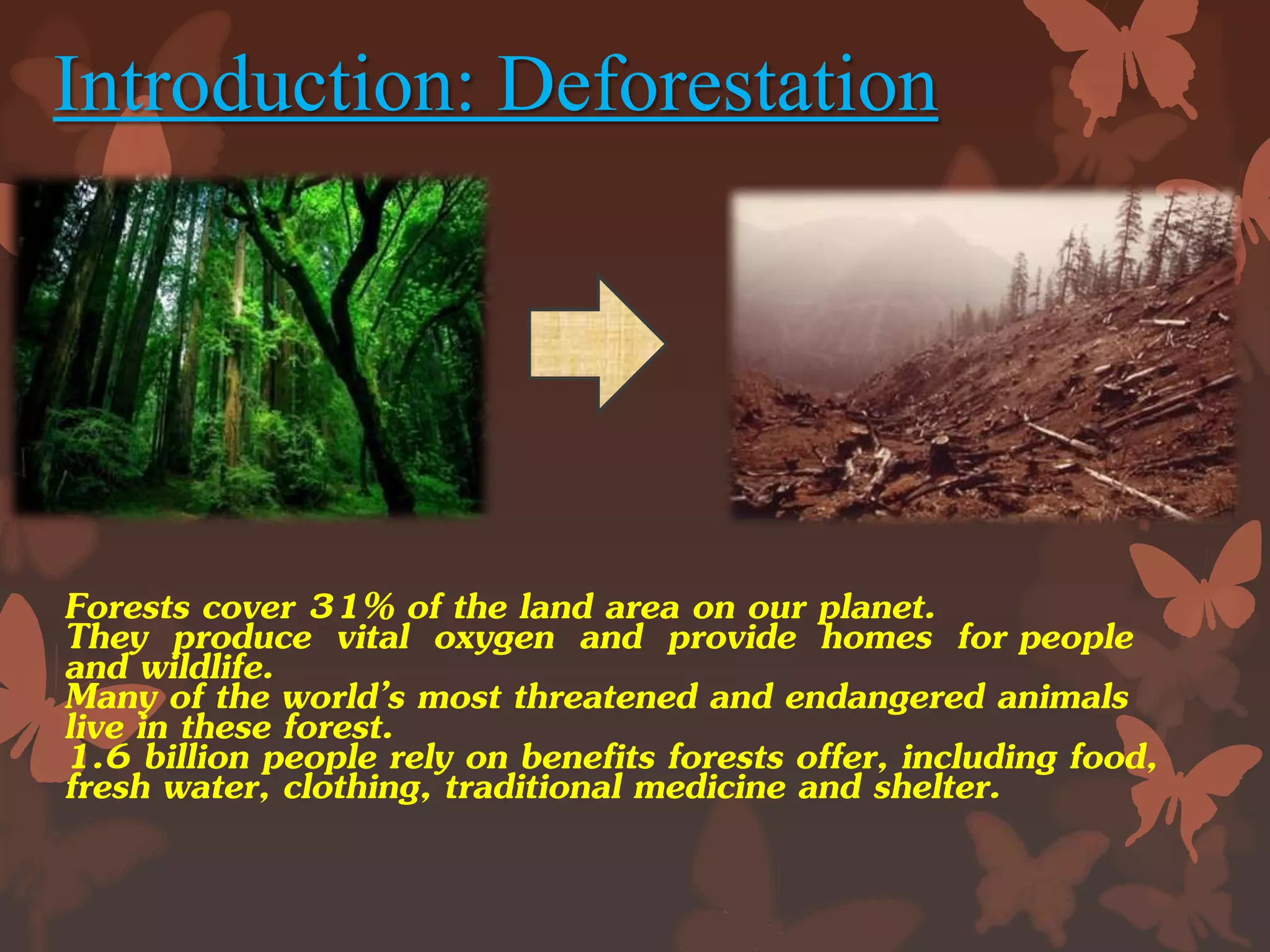PPT ON DEFORESTATION BY Mandar Gadkari. | PPTX