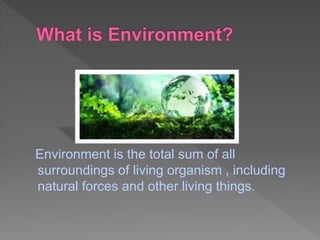 Environment & technology | PPTX