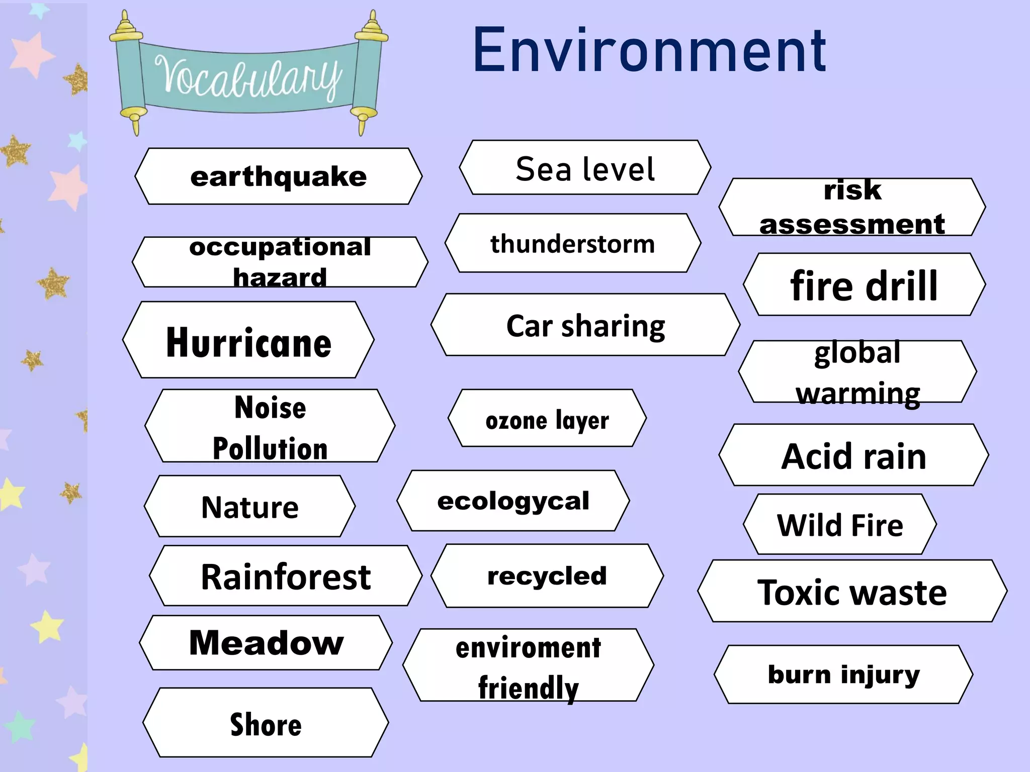 Environment Vocabulary | PPT