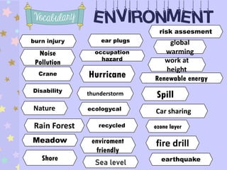 Environment Vocabulary | PPT