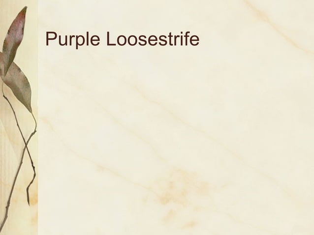 Envirothon Forestry Notes Ho Ppt