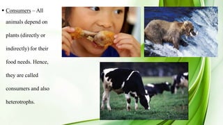 ENVI SCI. Q1-W6-7.pptx