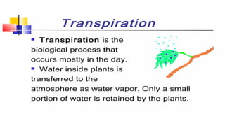 Envisci 13Envisci 13Envisci 13Envisci 13Envisci 13Envisci 13.pptx